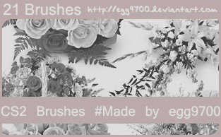 CS2-flower2 by egg9700 on DeviantArt