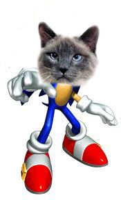 sonic the cathog by Stormtrooper934 on DeviantArt