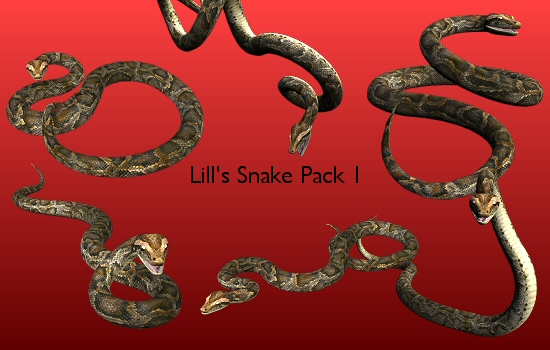 Snake Pack 1 by Lill-stock on DeviantArt