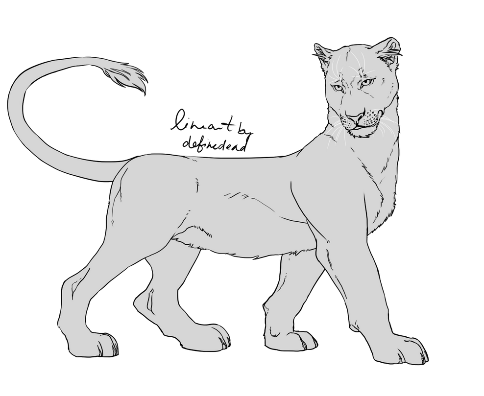 Lioness Lineart by defineDEAD on DeviantArt