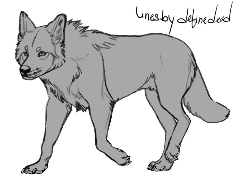 Wolf lineart by defineDEAD on DeviantArt