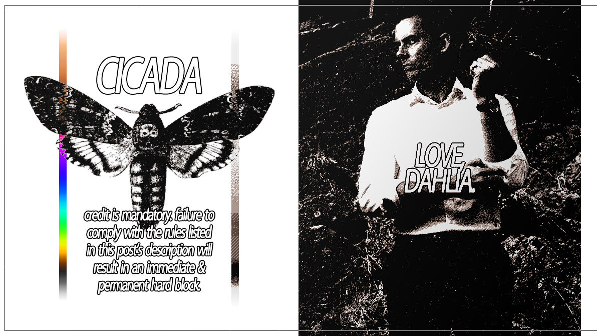 cicada by wieglers. by wieglers on DeviantArt