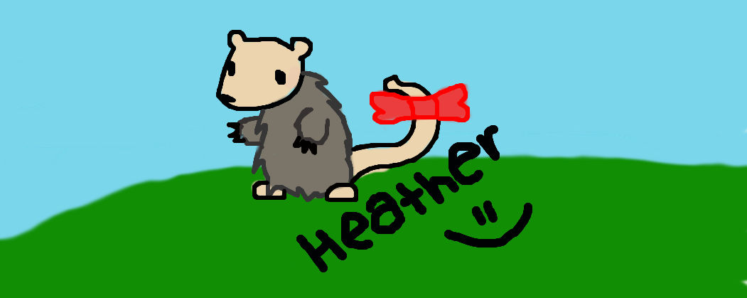 Heather the Opossum by bluegumibear on DeviantArt