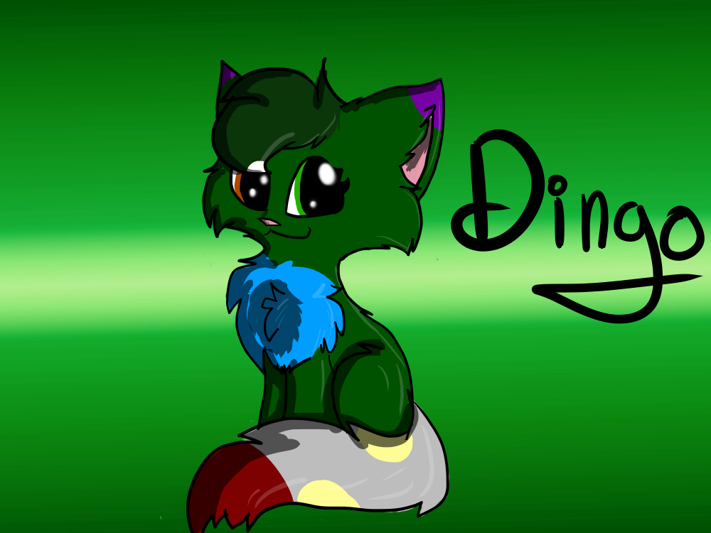 Dingo by dingo359 on DeviantArt