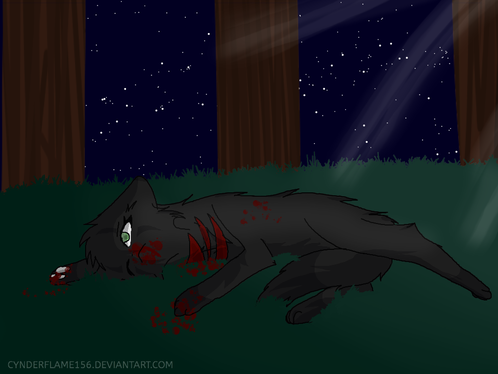 (Scrapped) Hollyleaf's death by Cynderflame156 on DeviantArt