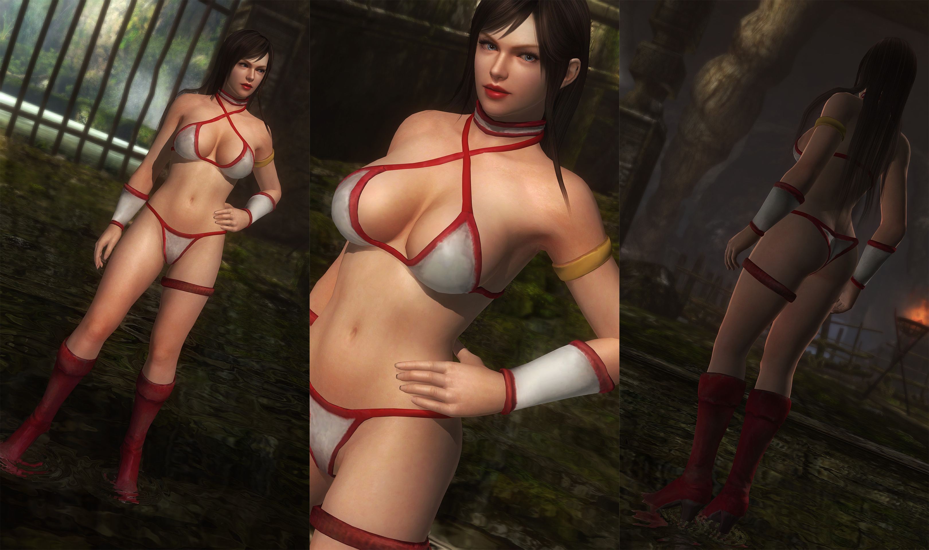 (RELEASE) TYRIS FLARE by huchi001 on DeviantArt