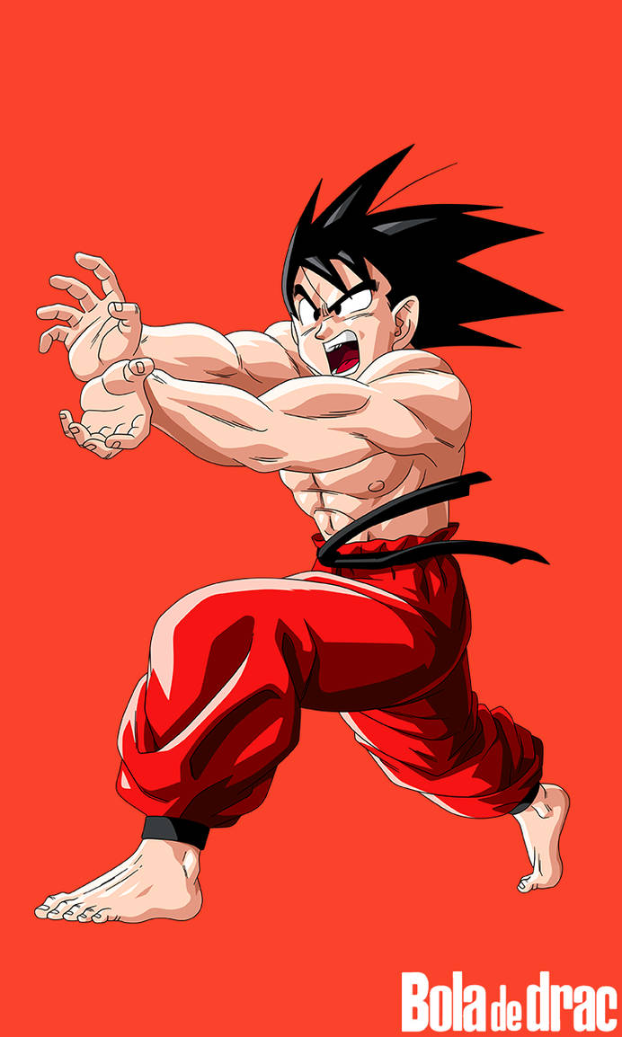 gOKU KAME HAME HA by PAKPAK13 on DeviantArt