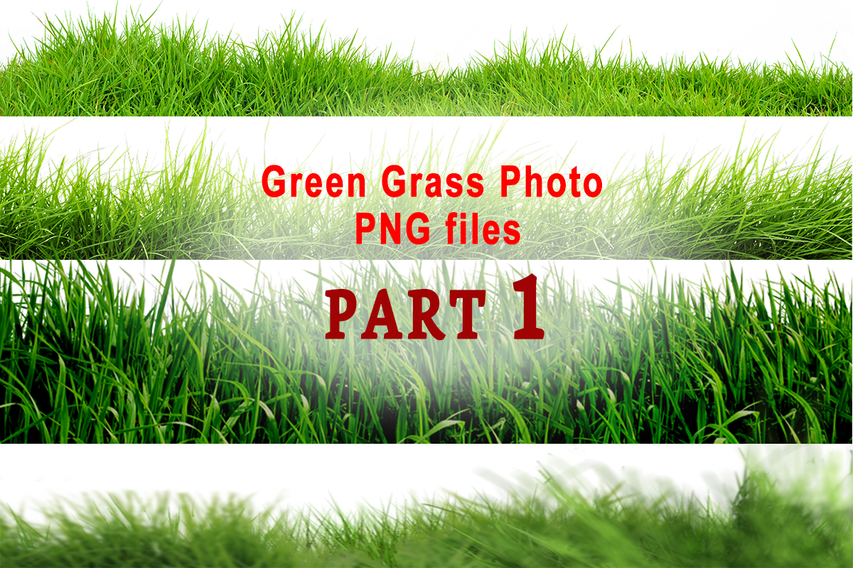 Green-Grass-Photo-Overlays-PNG - PART1 by duzulek on DeviantArt