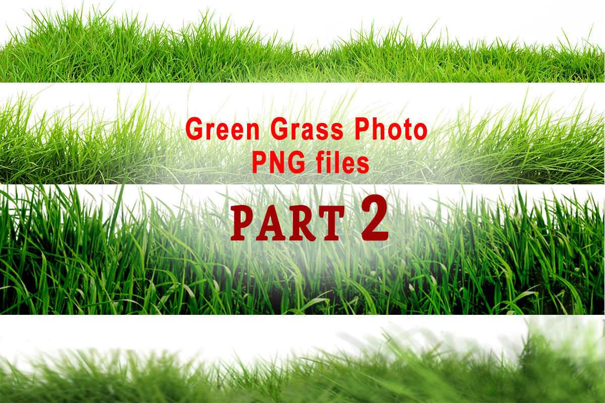 Green-Grass-Photo-Overlays-PNG - PART2 by duzulek on DeviantArt