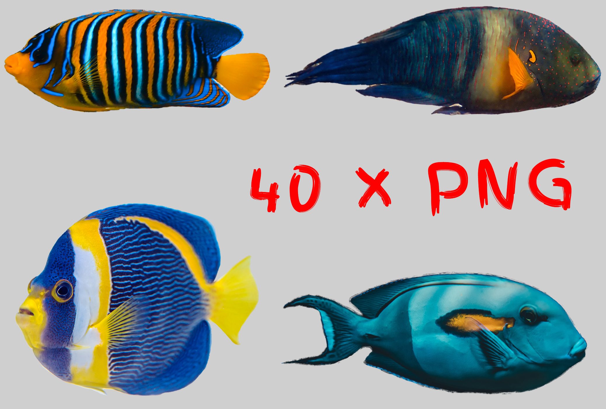 40 Sea Fish Overlays - PNG files by duzulek on DeviantArt
