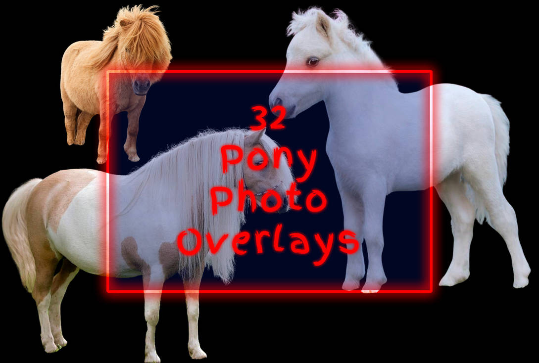 32-Pony Photo Overlays by duzulek on DeviantArt