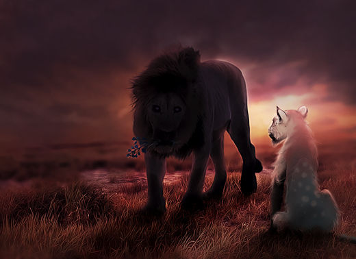 Lion pair by M00gleArt on DeviantArt