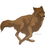 Running wolf FREE lineart + Shading by Sharaiza on DeviantArt