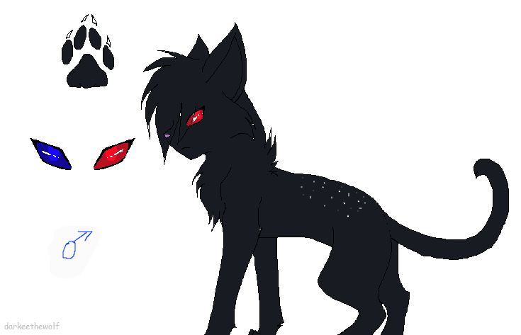 Blackfur by sosozelda on DeviantArt