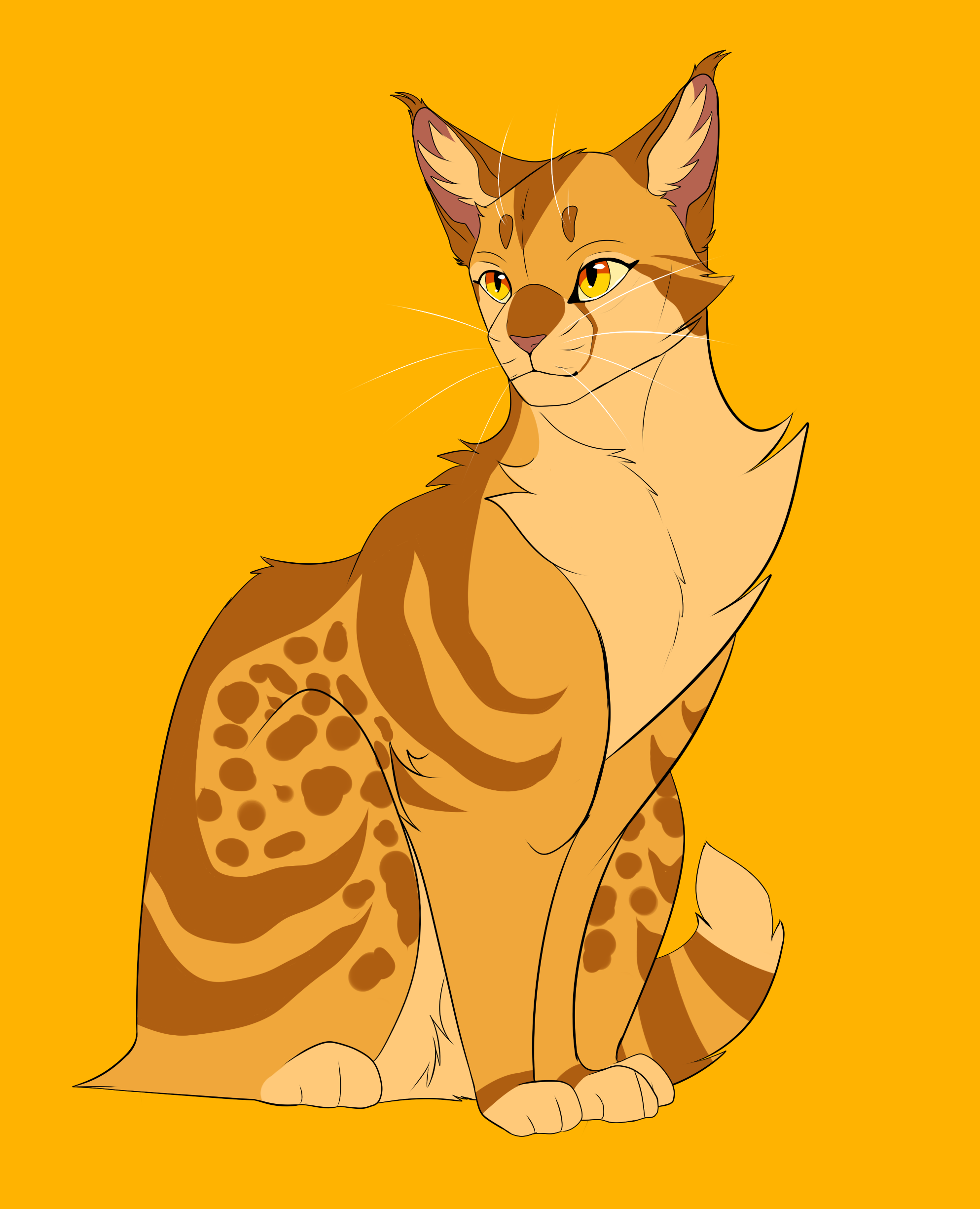 Leopardstar by Goldenwing672 on DeviantArt