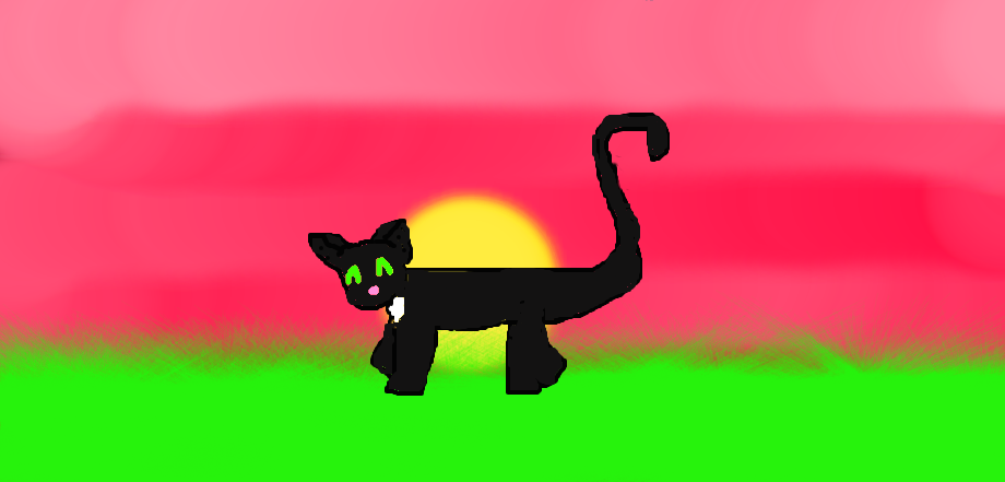 my cat meiko in a sun set by windrunner12345 on DeviantArt