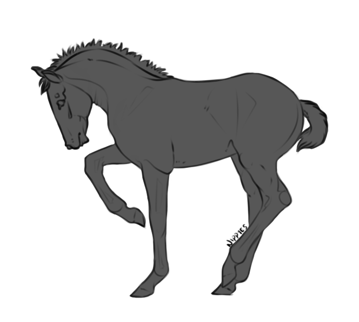 Foal Lineart by triqlav on DeviantArt