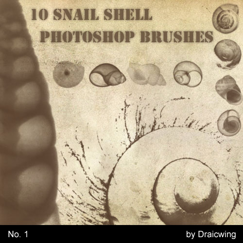 snail shell brushes 1 by Draicwing on DeviantArt