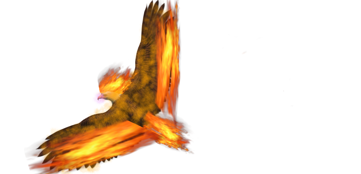 Pokemon in real life: Moltres by ElzjevR on DeviantArt