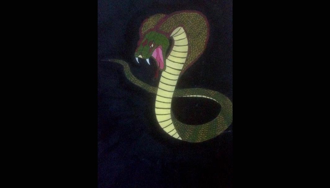 Cobra by Senshi101 on DeviantArt