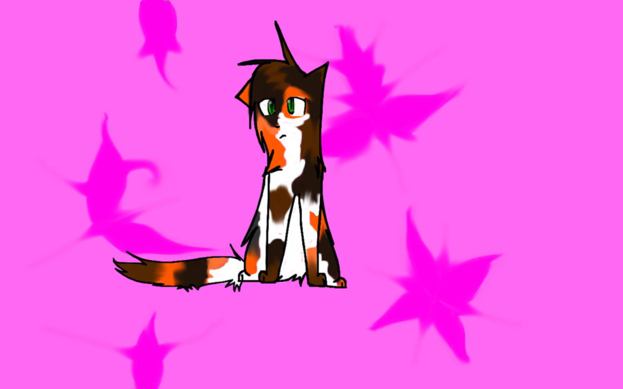blossomfall by leafpool90944 on DeviantArt