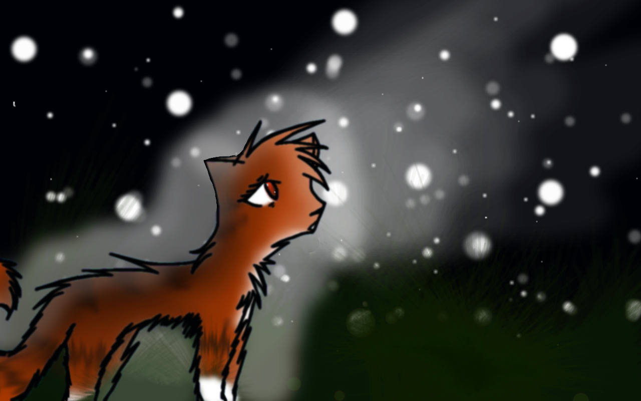 Stardust by leafpool90944 on DeviantArt
