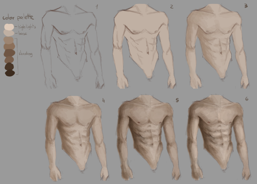Male Body Shading