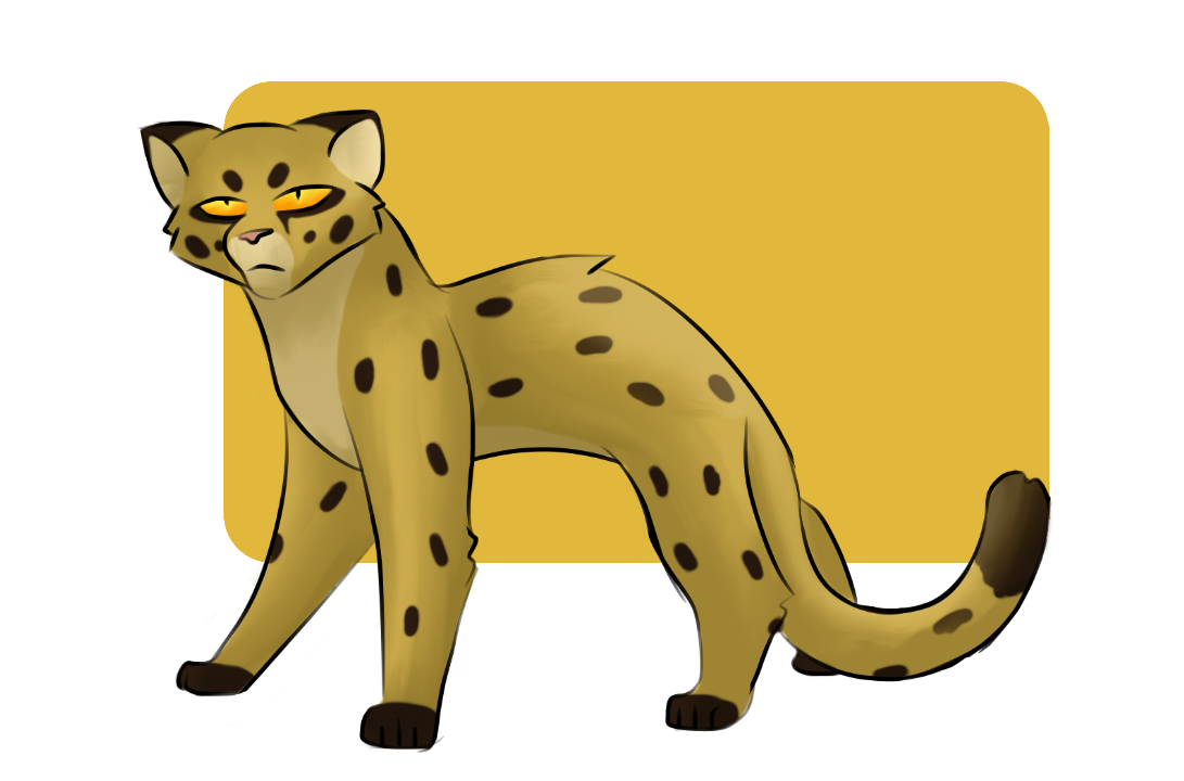 Leopardstar by katt008 on DeviantArt