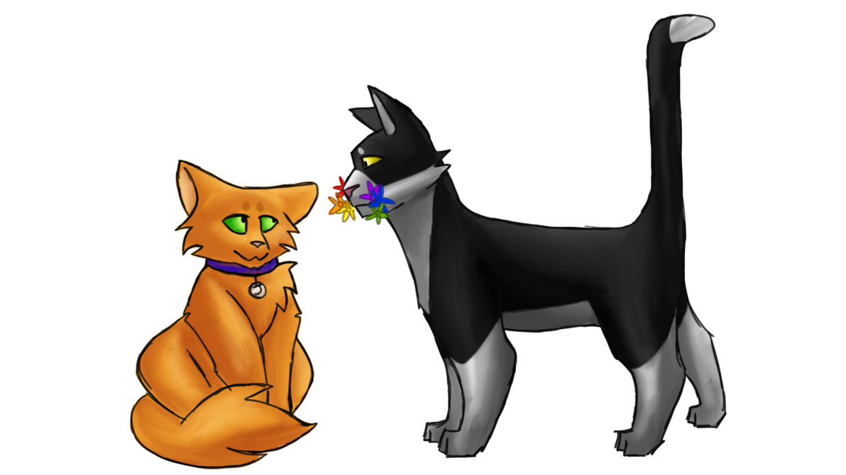 Tallstar And Jake 2018 by katt008 on DeviantArt