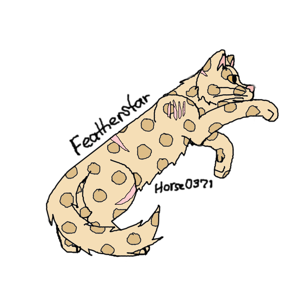 Featherstar collab by Azrael-no-Mikoto on DeviantArt