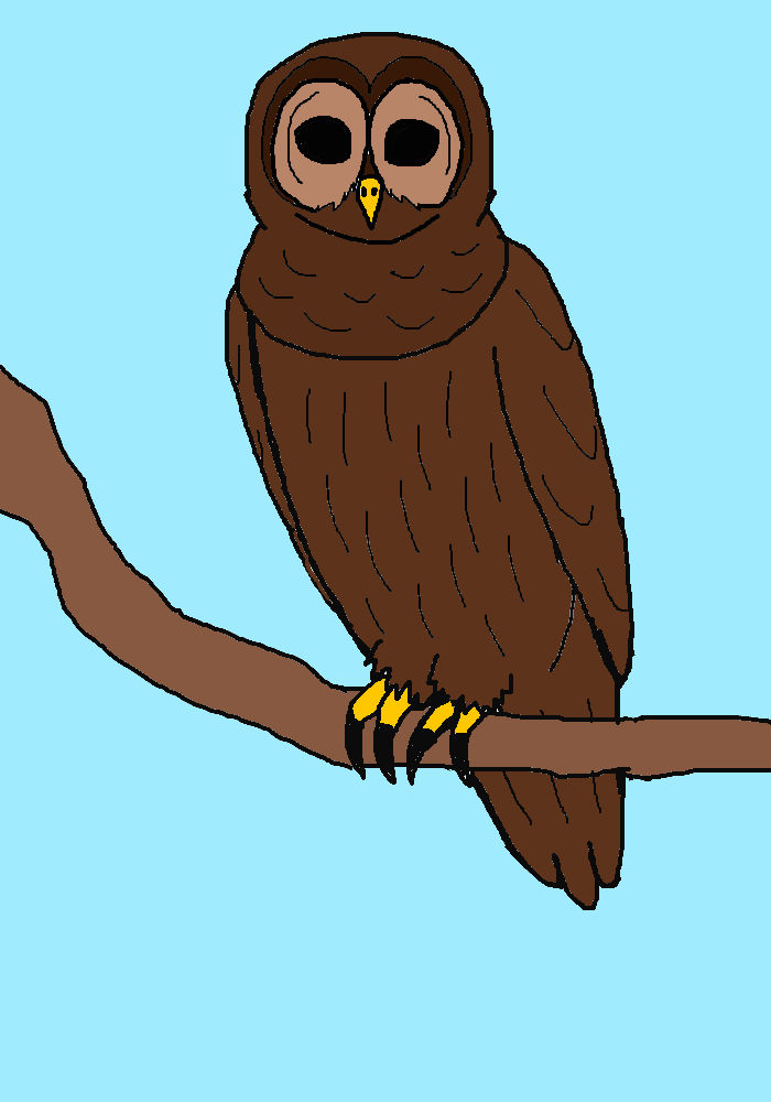Random Owl Doodle by Azrael-no-Mikoto on DeviantArt