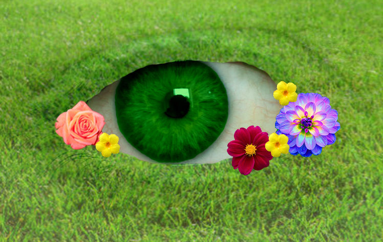 Element eye: Earth by julietvolturi-cullen on DeviantArt