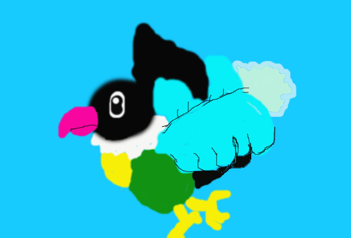 Chatot by VoltorbThePokemon on DeviantArt