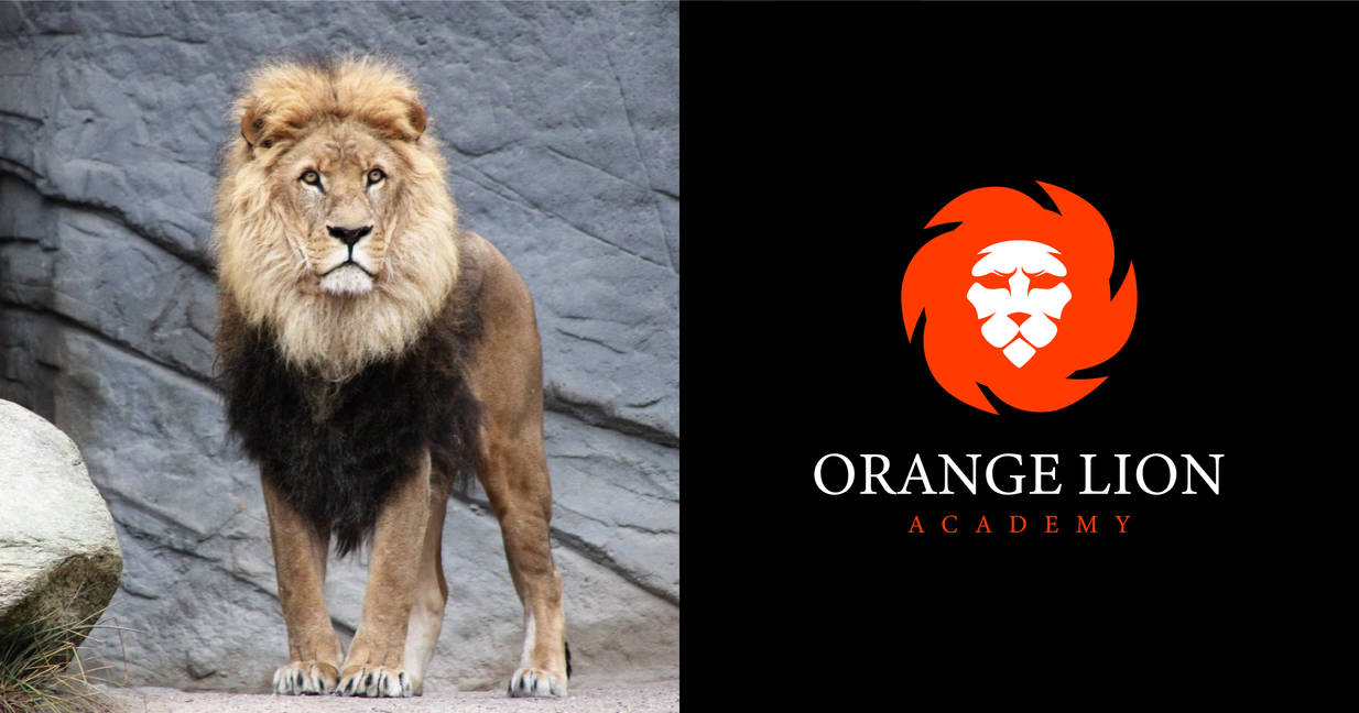 Orange Lion logo by chiraggosia98 on DeviantArt