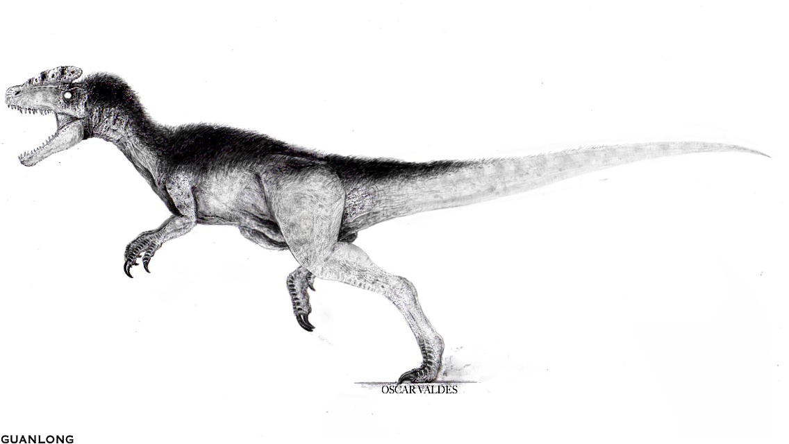 Guanlong by BackOcean on DeviantArt