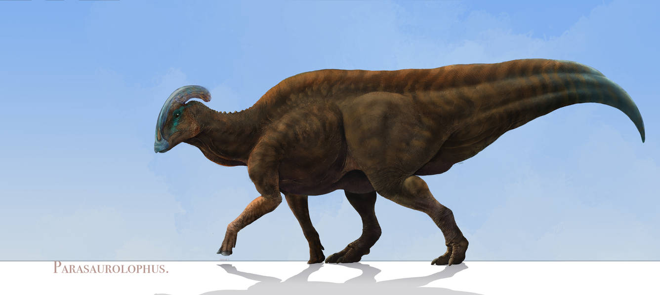 -Parasaurolophus Cyrtocristatus- by BackOcean on DeviantArt