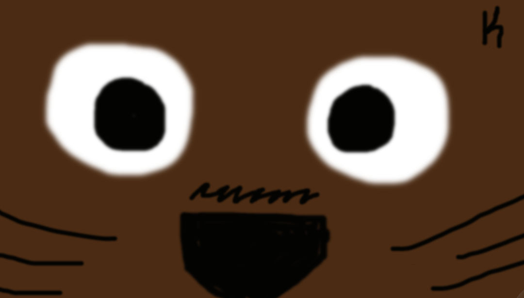 TOTRO'S FACE by noodles546 on DeviantArt