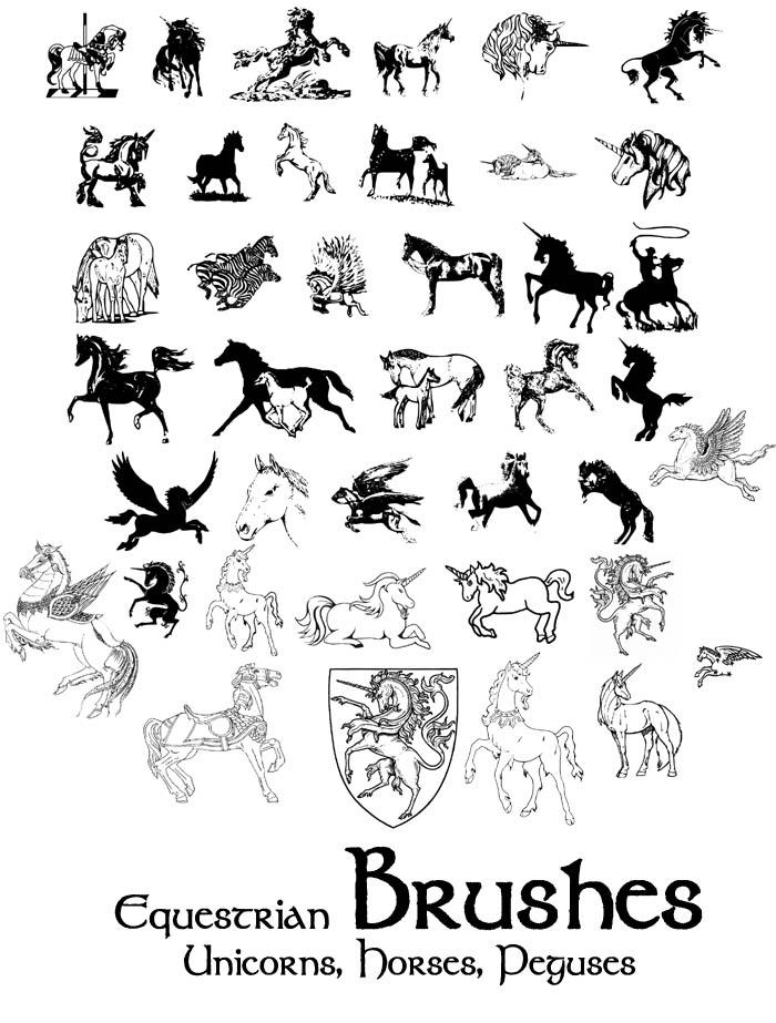 Equestrian Brushes by Vireonidae on DeviantArt