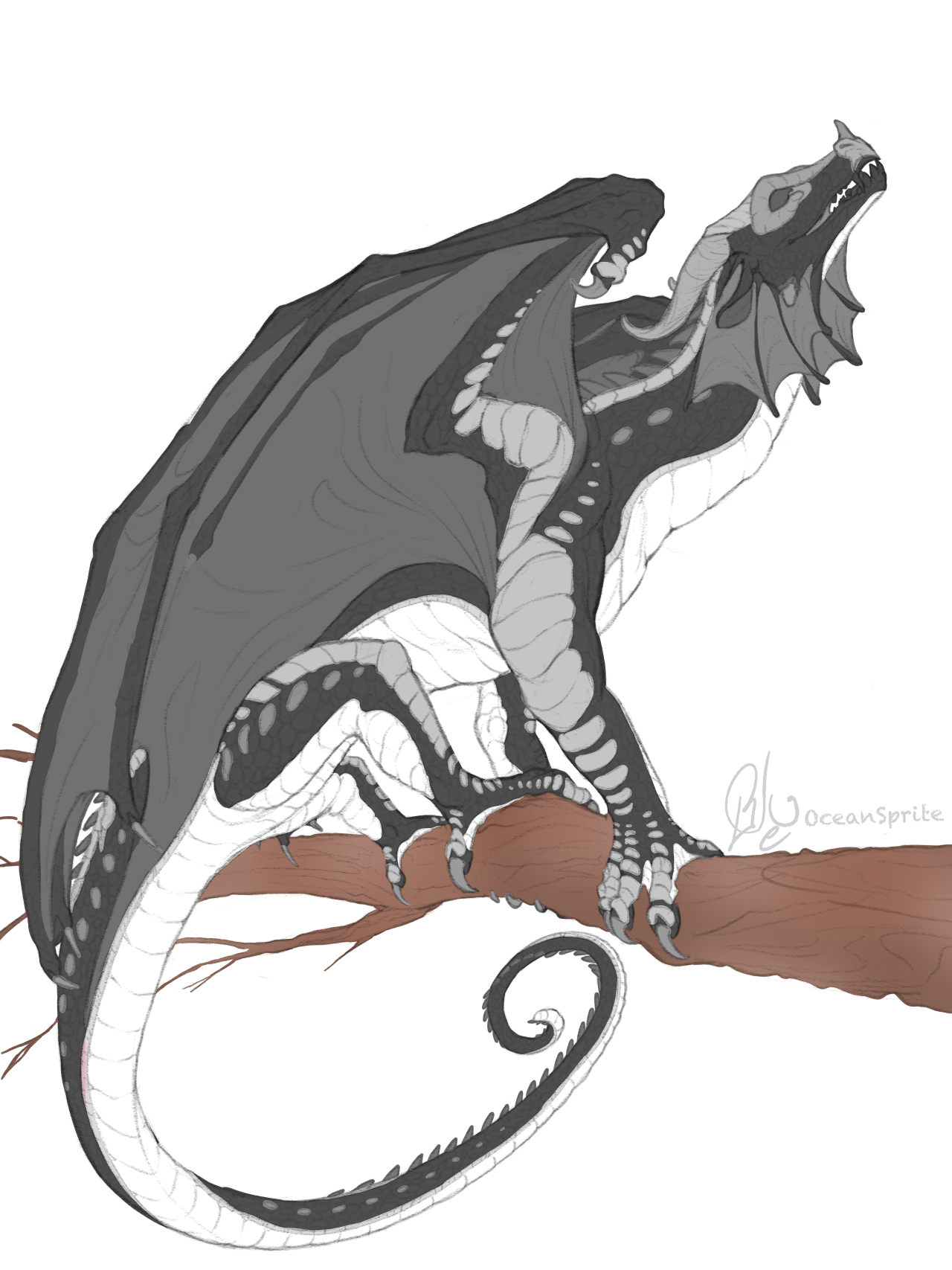 Perched rainwing PSD by Wof-adopt on DeviantArt