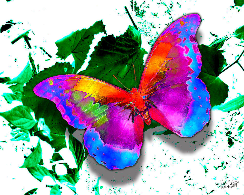 Rainbow Butterflies by Diluculi on DeviantArt