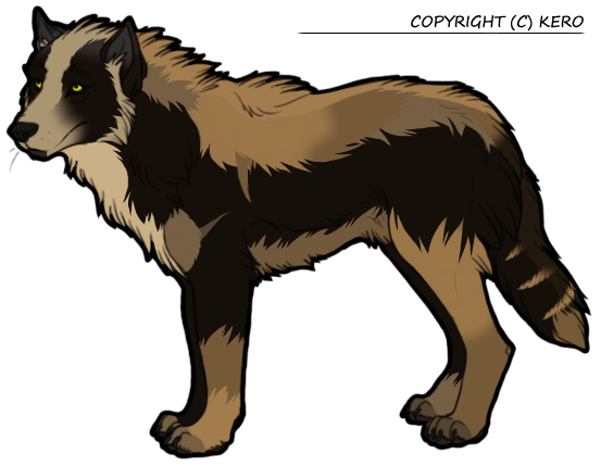 Terin by HawkSoulJason on DeviantArt