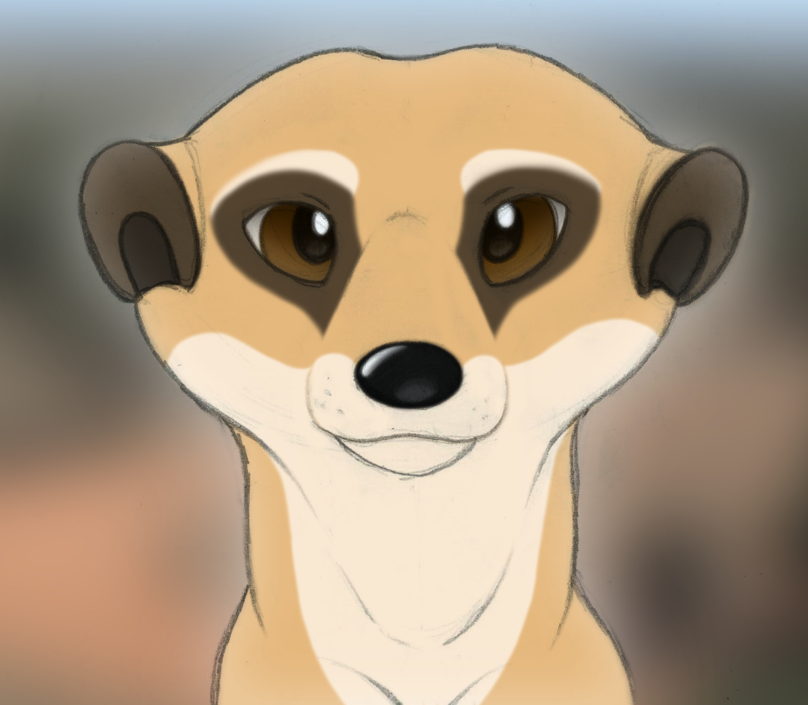 Meerkat Face Drawing