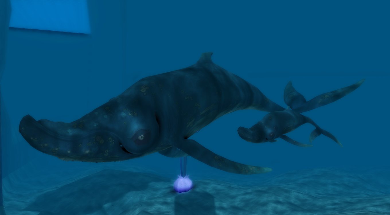 MMD:Blue Whale HSW + Download DL by Francoraptor2018 on DeviantArt