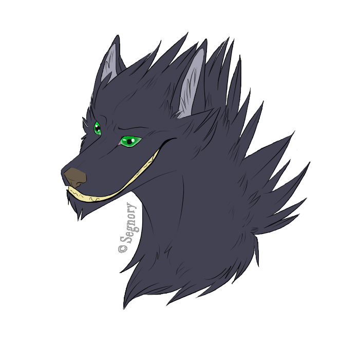 Shadow Wolf by Shewerewolf on DeviantArt