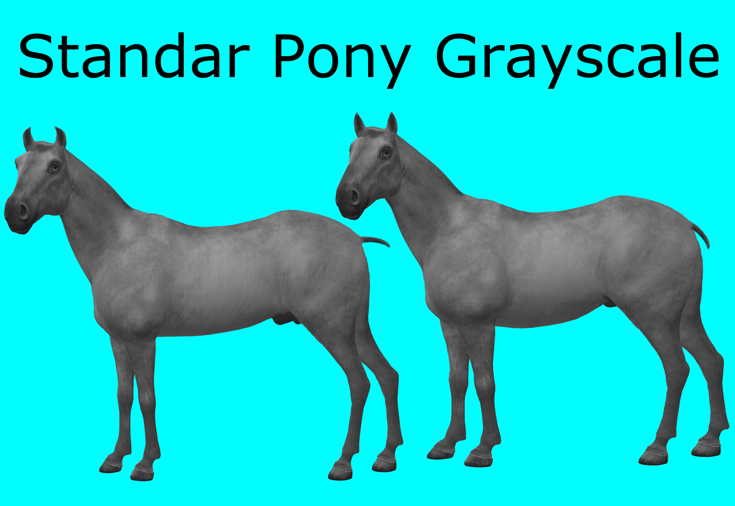 CC0 - Standar Pony Grayscale by Torhval-3D on DeviantArt