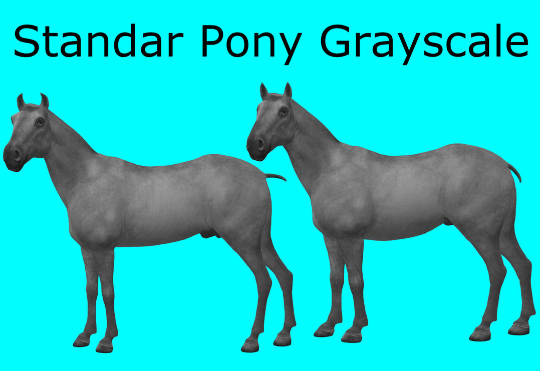 CC0 - Standar Pony Grayscale by Torhval-3D on DeviantArt