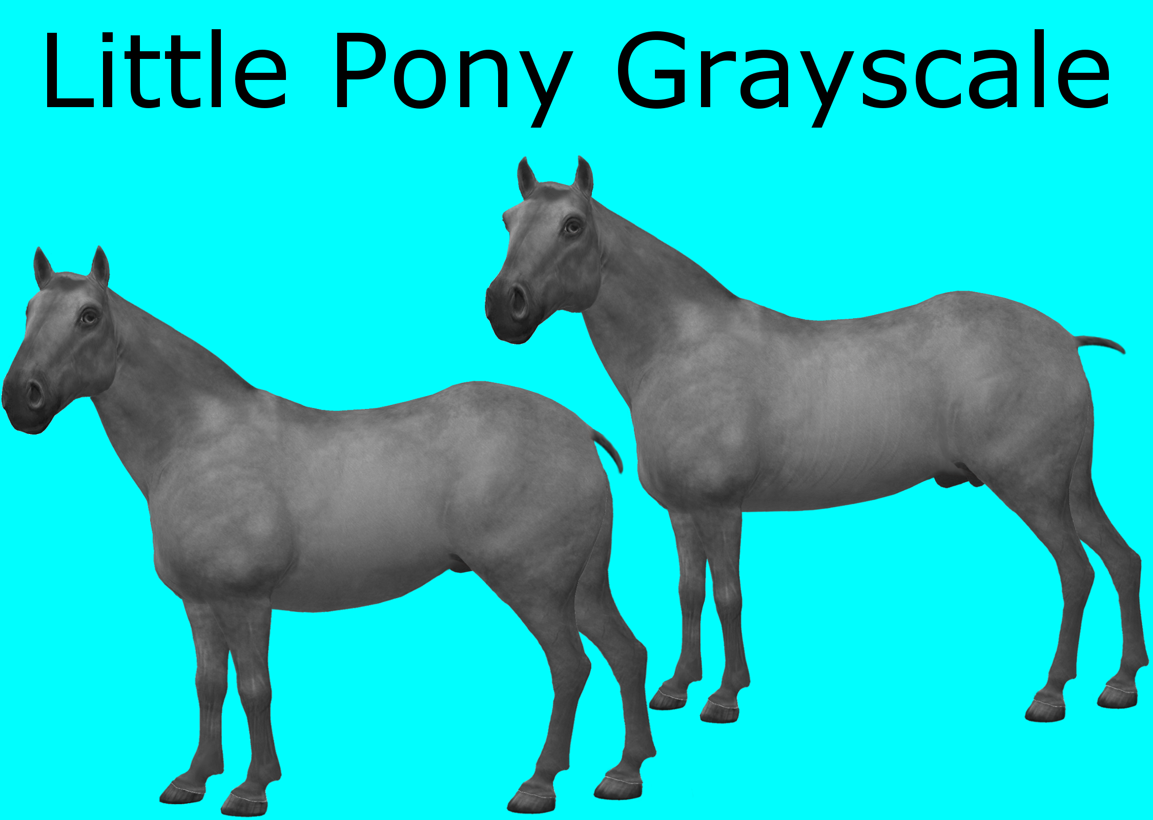 CC0 - Little Pony Grayscale by Torhval-3D on DeviantArt