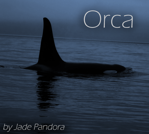 Orca - Flash by Jade-Pandora on DeviantArt