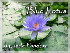 Blue Lotus by Jade-Pandora on DeviantArt