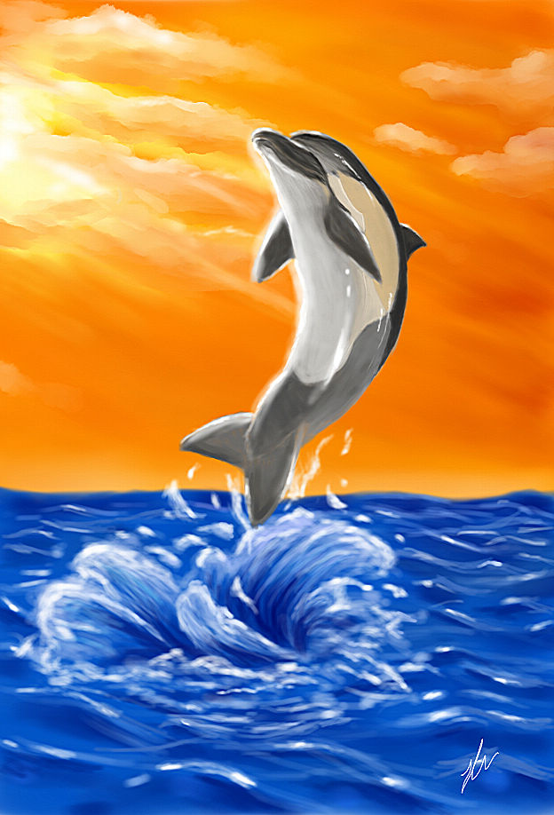 Jumping Dolphin by West017 on DeviantArt